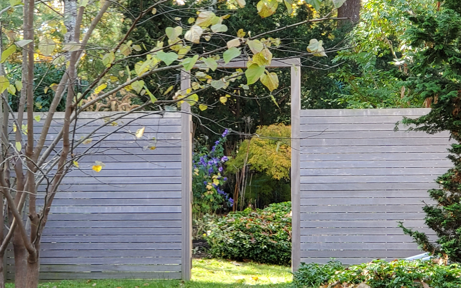 Homepage-New - Geoffrey Nimmer Landscapes